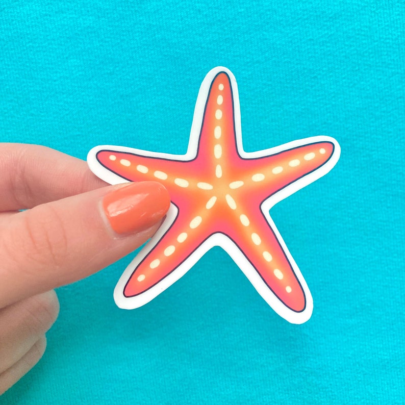 Coral Starfish Sticker | Etsy