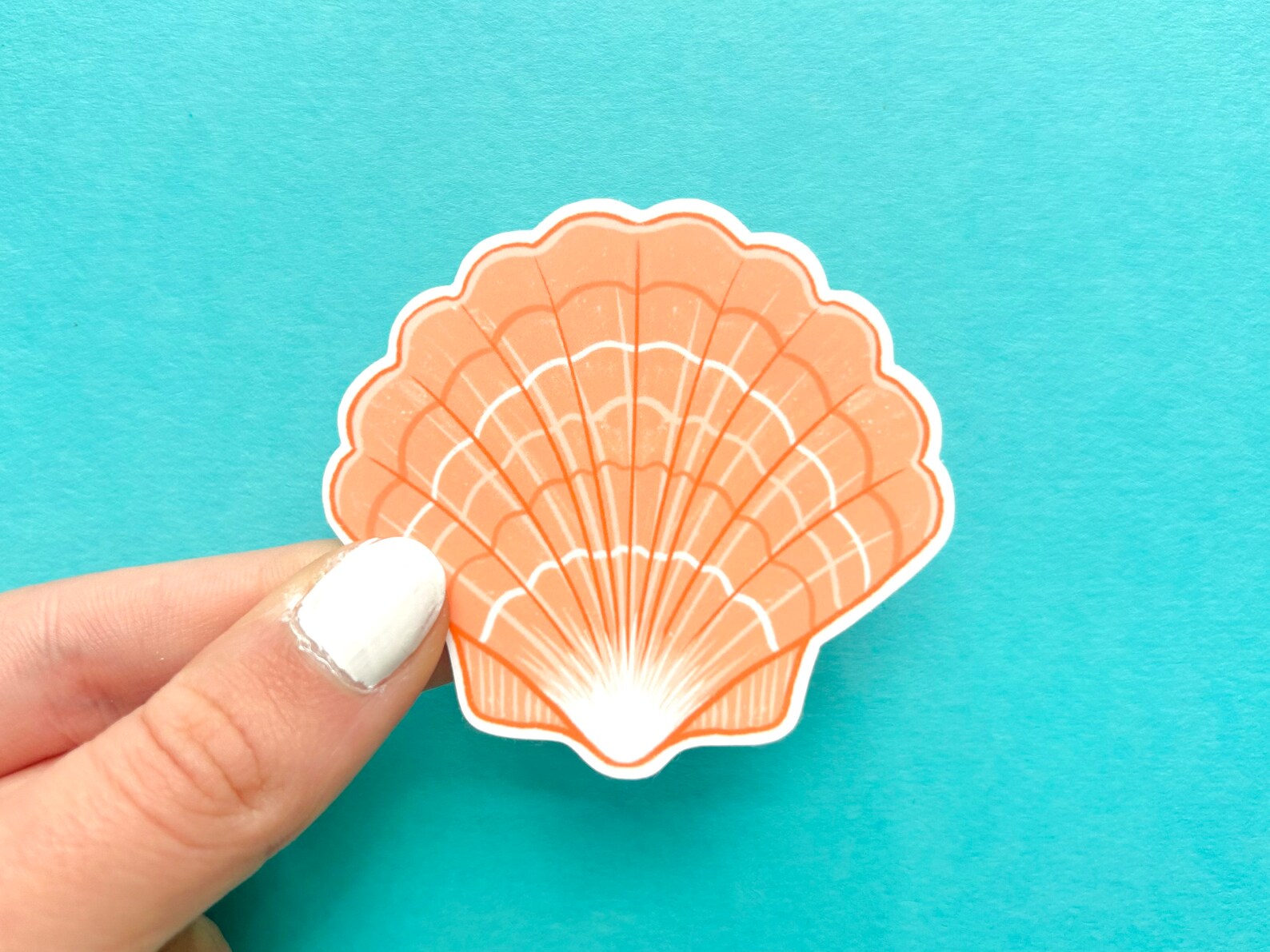 Seashell Stickers - Etsy