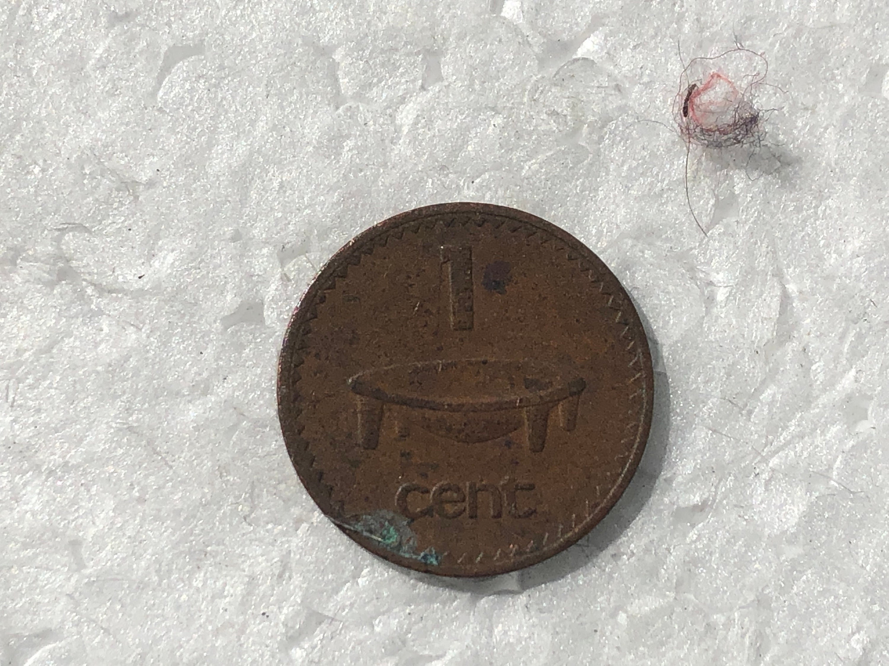 Fiji Tanoa Kava Bowl One Cent Coin Earrings - Etsy