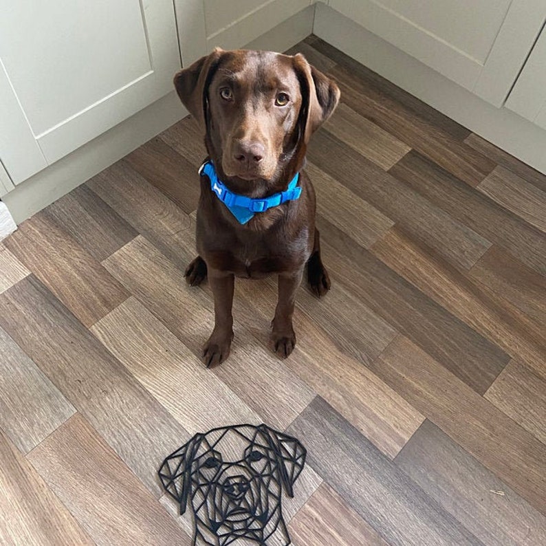 Geometric Labrador Retriever Dog Pet Wall Art Decor Hanging - Etsy