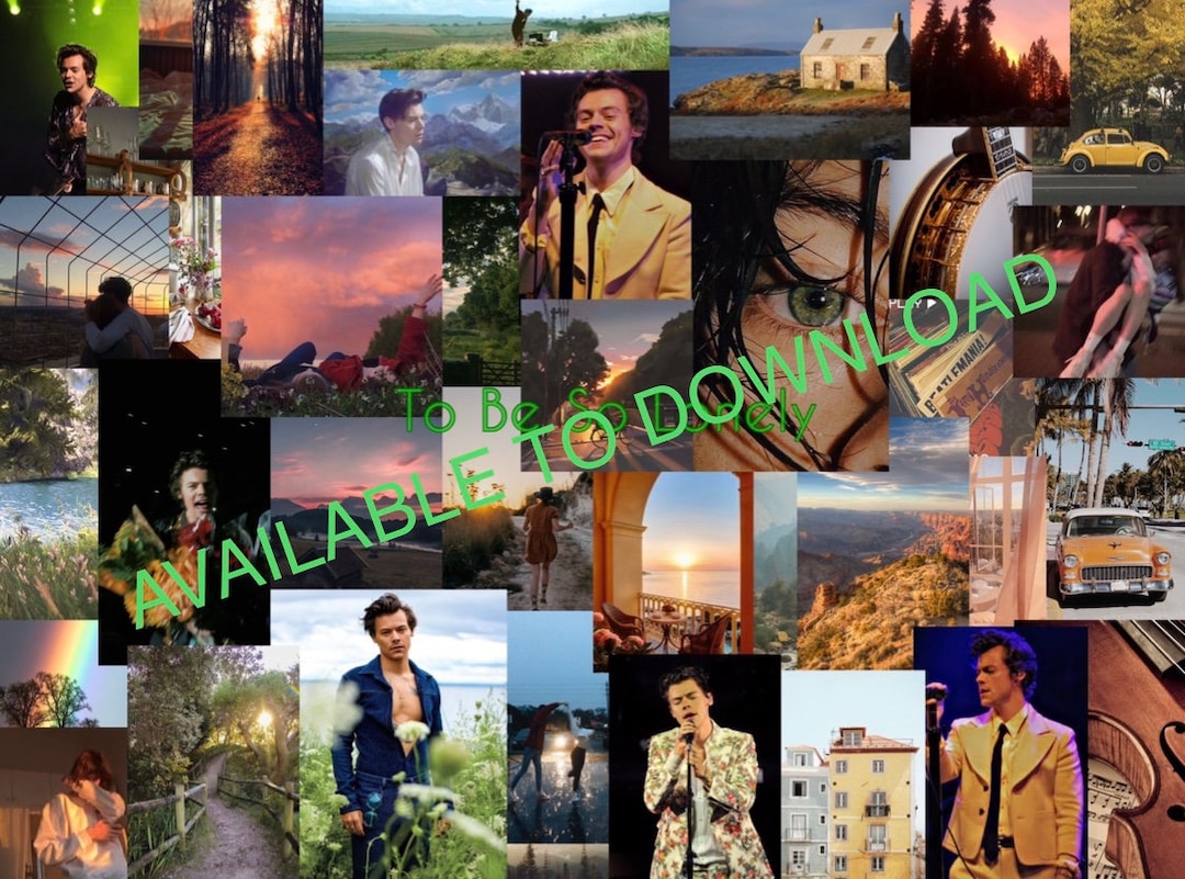 TBSL Fine Line to Be so Lonely: Collage - Etsy