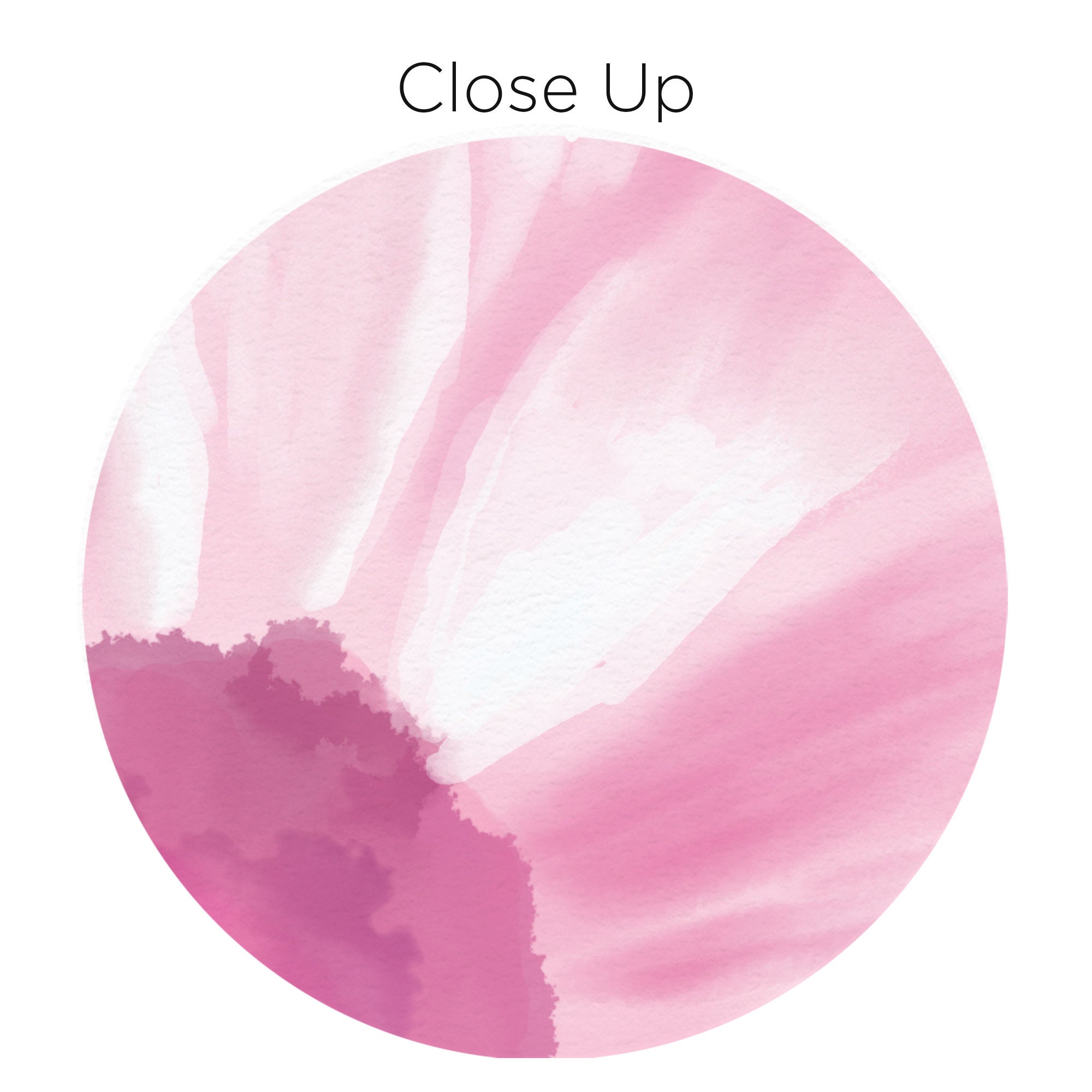 Pink Daisy Watercolor Print, Watercolor Painting, Fine Art Print ...