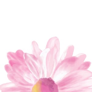 Pink Daisy Watercolor Print, Watercolor Painting, Fine Art Print ...