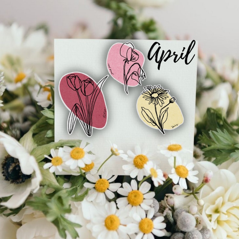April Birth Flower Sticker Set Birthday Stickers Birth - Etsy