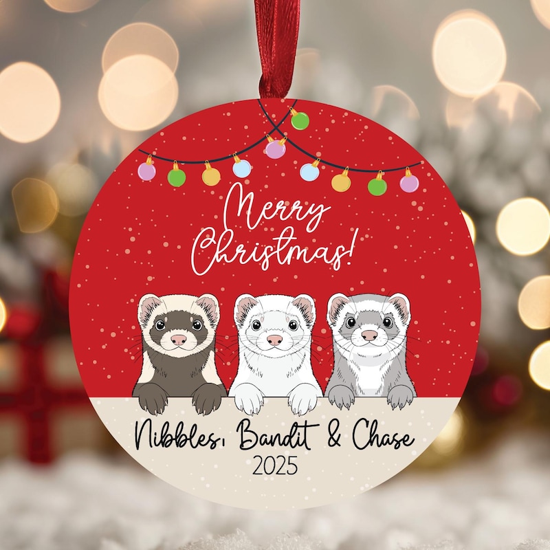 Custom Ferret Christmas - Etsy