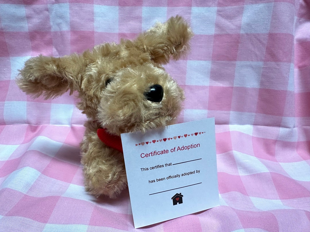 12 Valentine's Day Golden Doodle Puppies, Pet Adoption, Holiday Winter ...