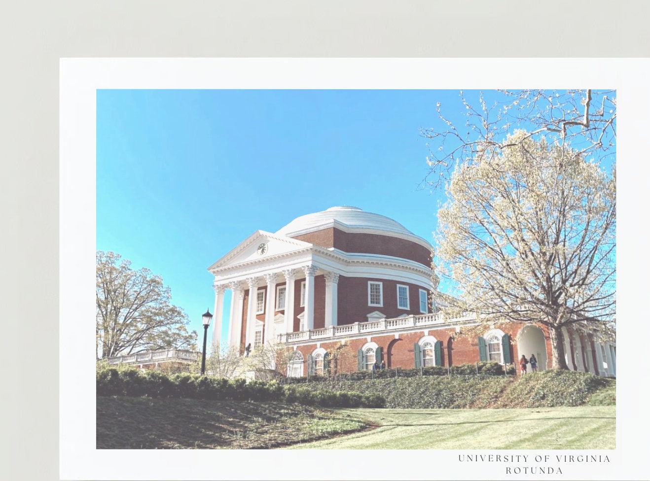 Set of 5 UVA Graduation Gift Rotunda Art Cards University of Virginia ...