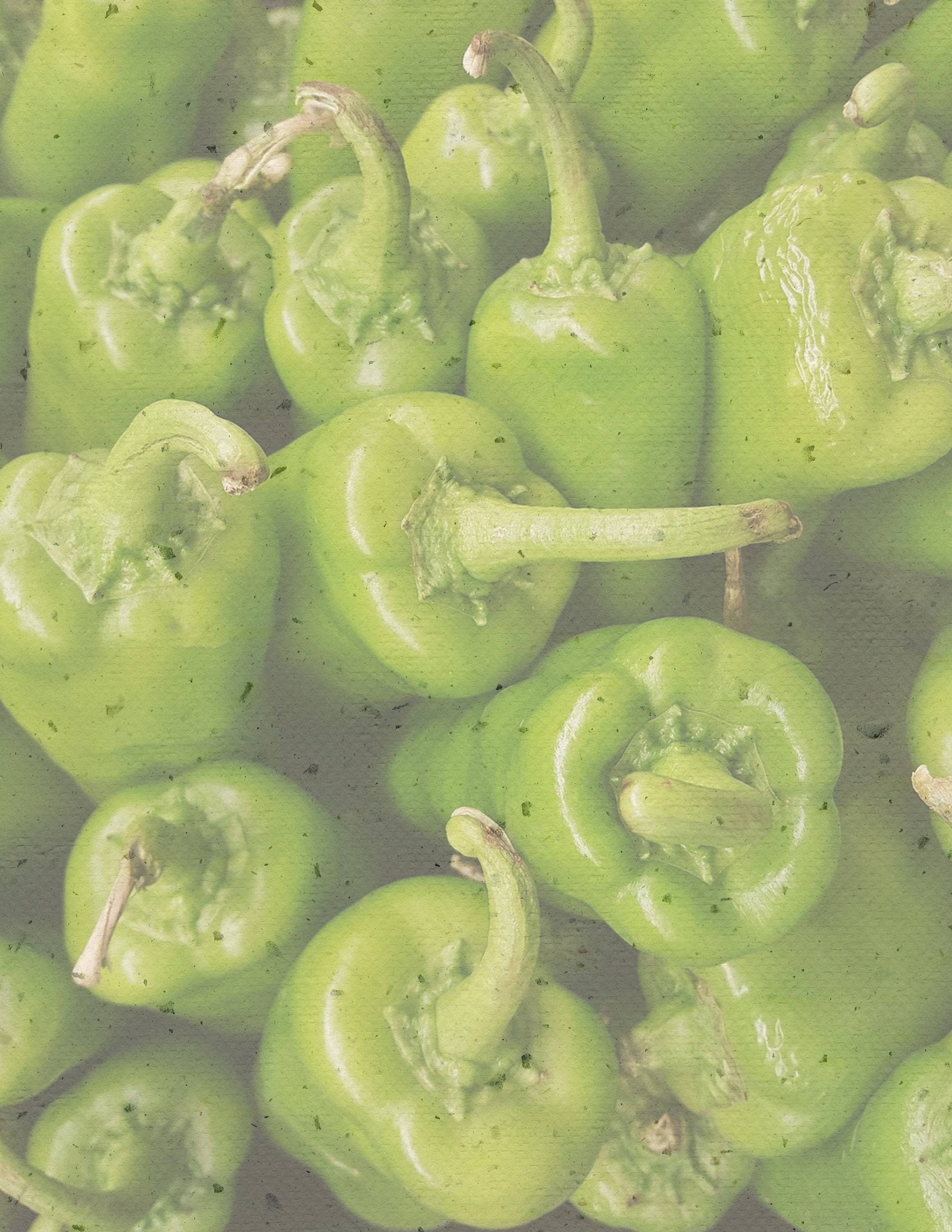 Hatch Green Chile Paper Hand Made Paper With Hatch Green Chile Photo - Etsy