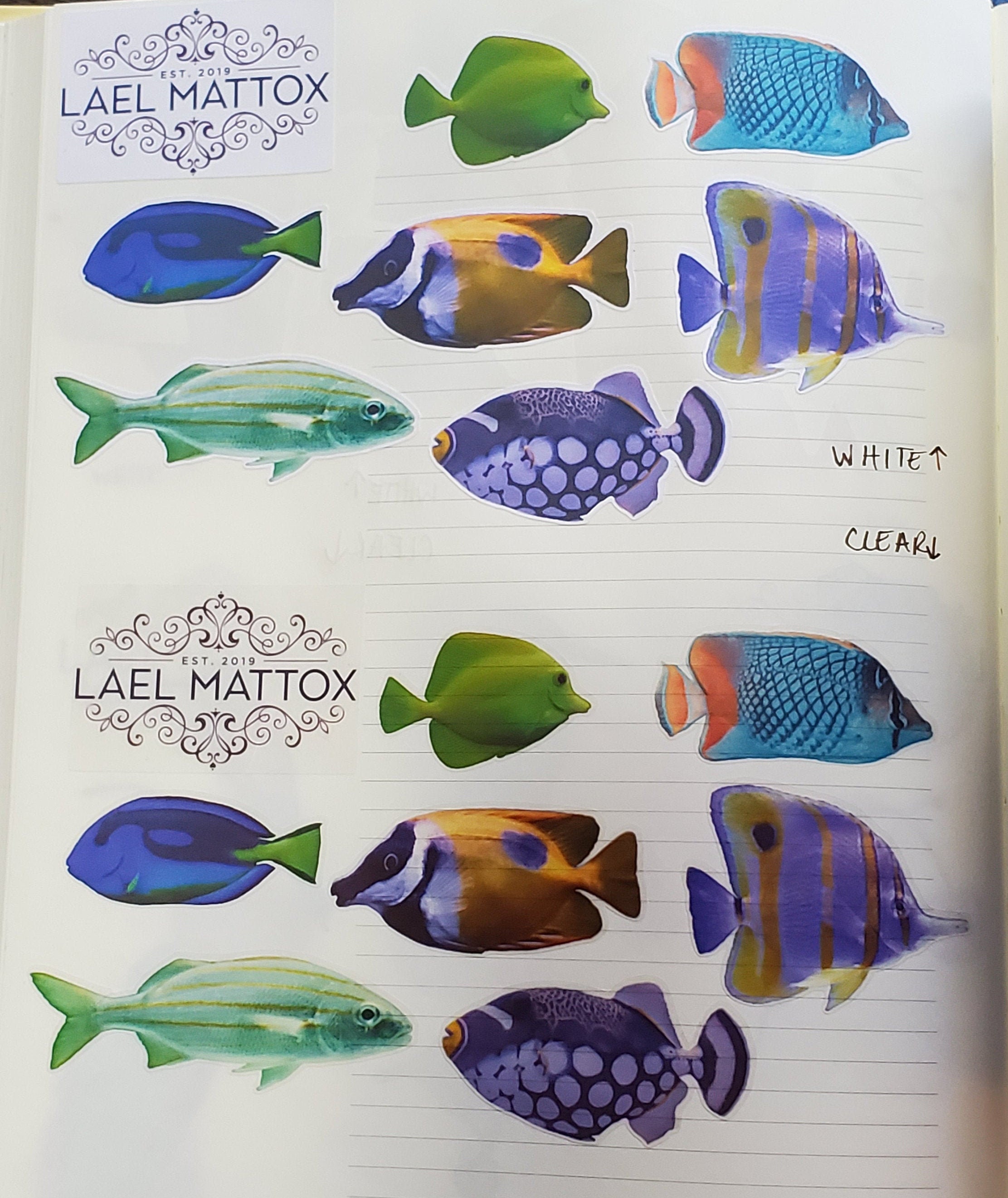 Tropical Fish Photo Sticker Set by Lael Mattox - Etsy
