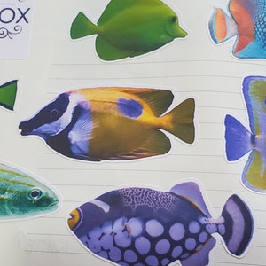 Tropical Fish Photo Sticker Set by Lael Mattox - Etsy