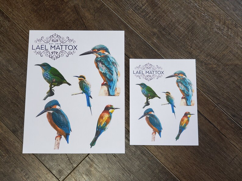Blue Birds Photo Sticker Set by Lael Mattox - Etsy