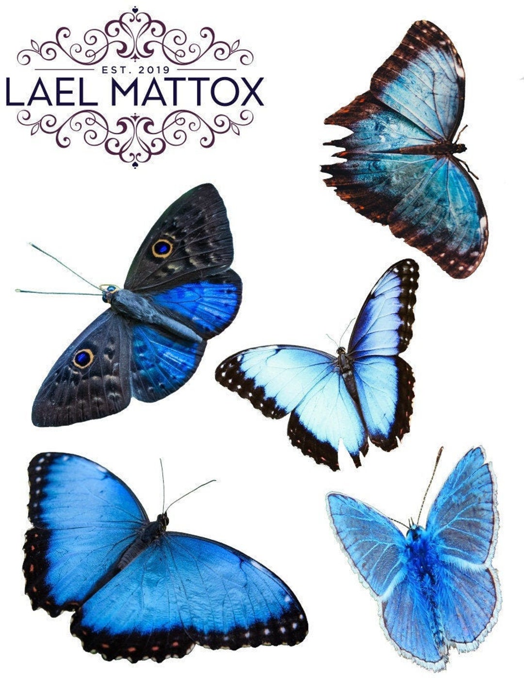 Blue Butterfly Photo Sticker Set by Lael Mattox - Etsy