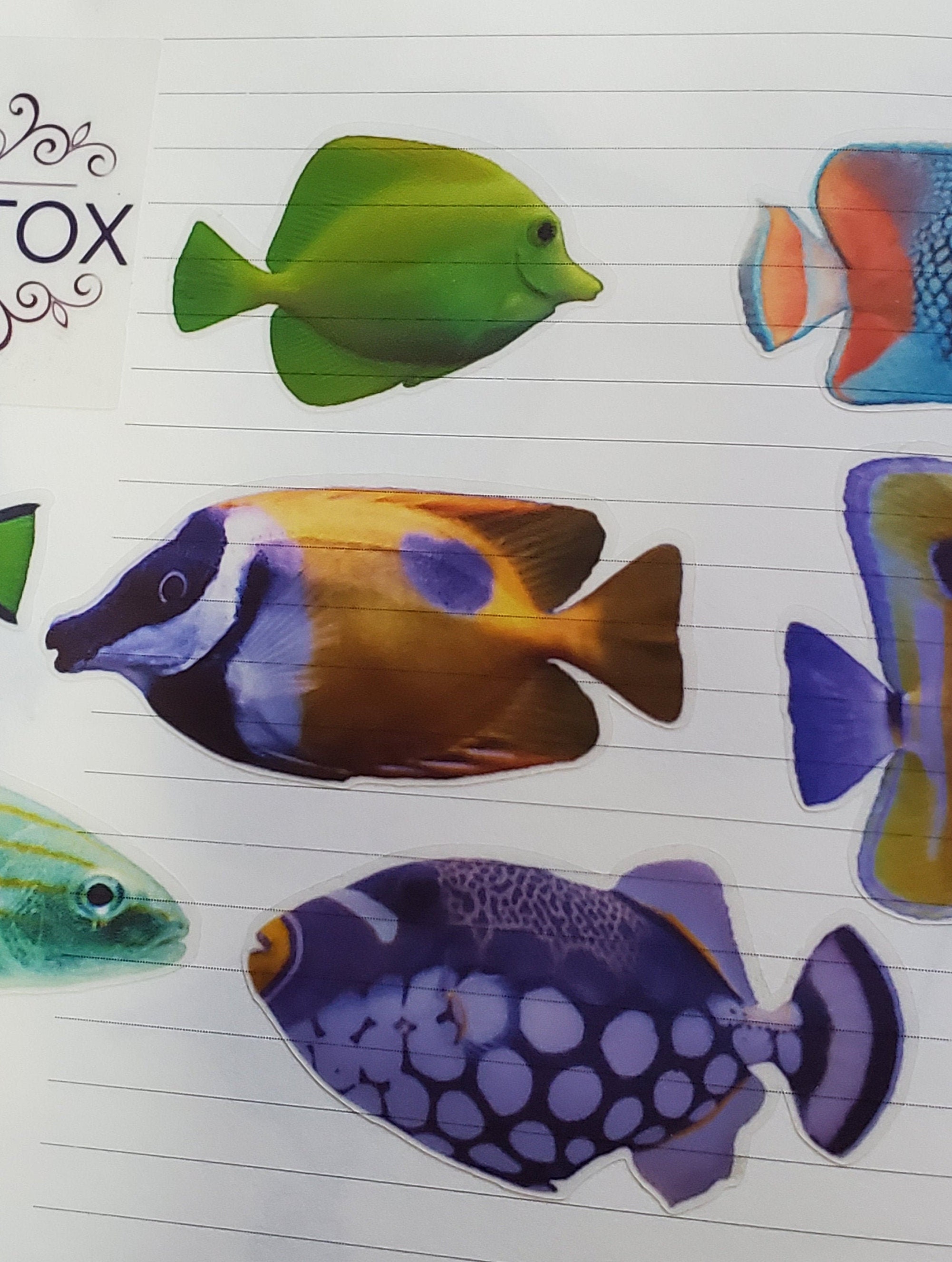 Tropical Fish Photo Sticker Set by Lael Mattox - Etsy