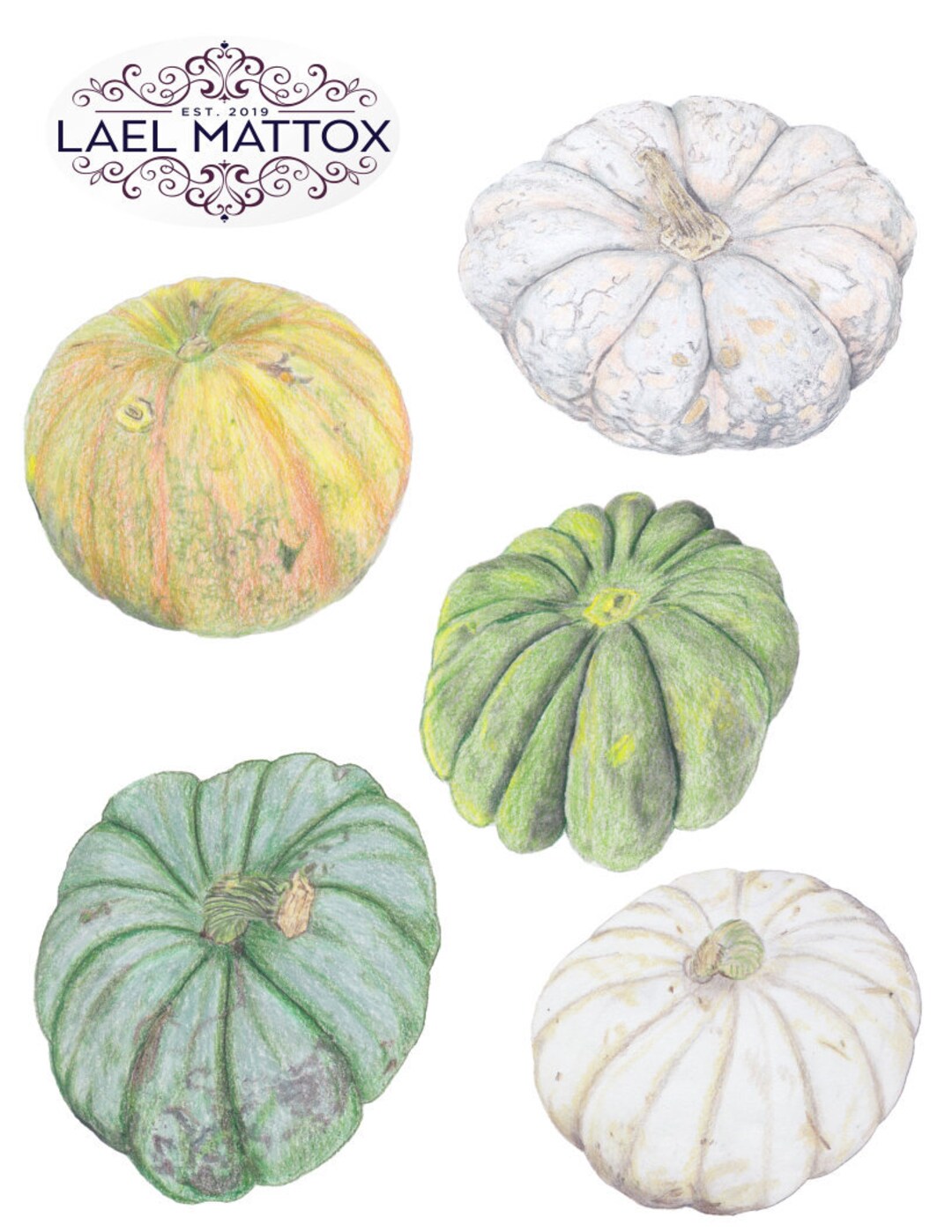 Unique Pumpkins, Sticker Set, Fall, Pumpkin Stickers, Green & White ...