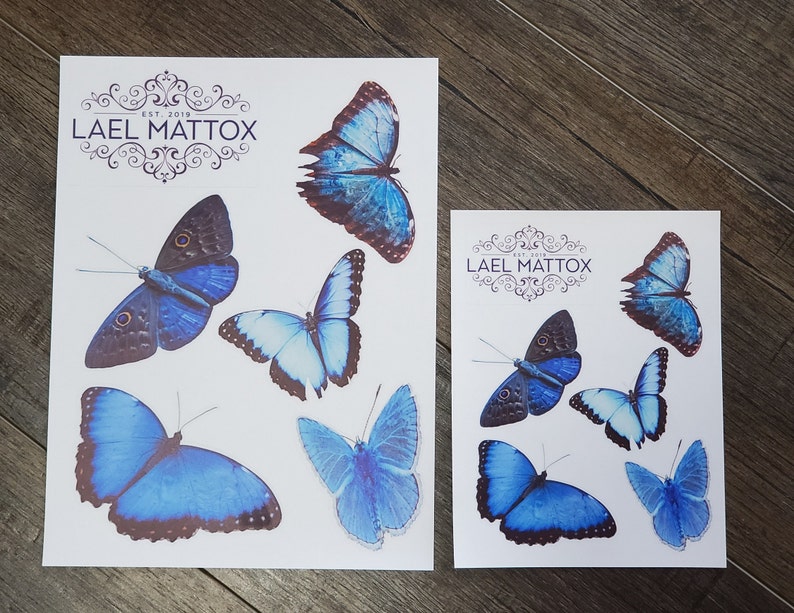 Blue Butterfly Photo Sticker Set by Lael Mattox - Etsy