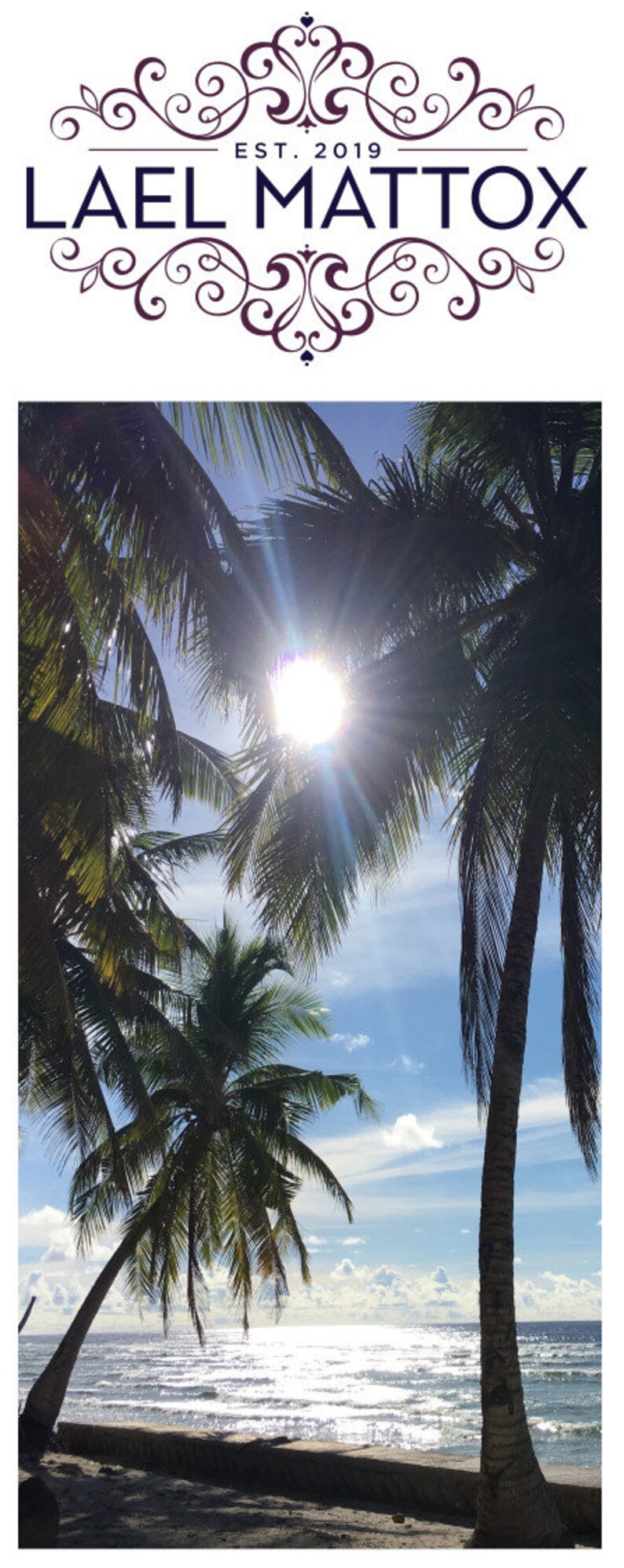 Beach Palm Trees and Sun Landscape Photo Sticker by Lael Mattox - Etsy