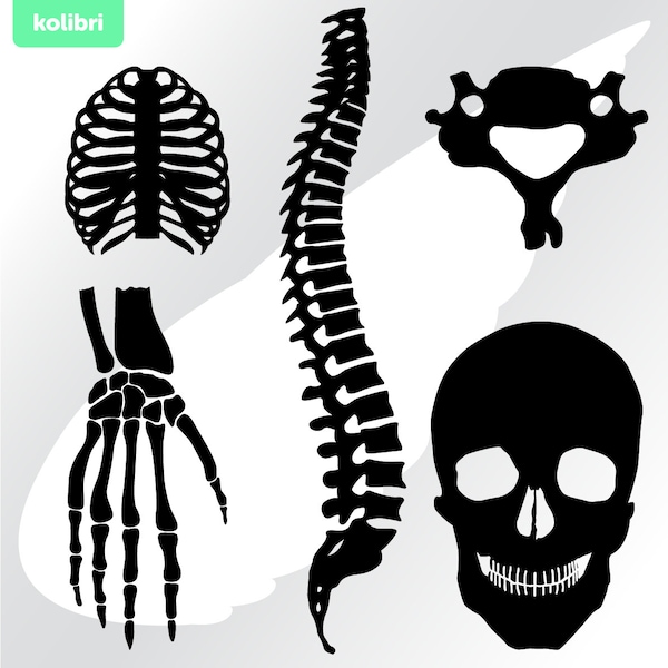 Backbone Svg - Etsy