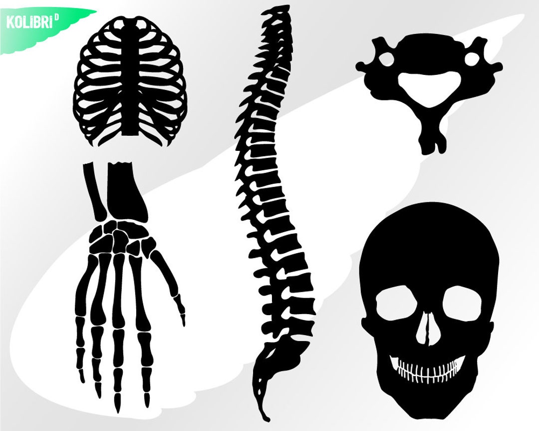 Human Spine Svg Hand Svg Backbone Svg Vertebra Bone Svg - Etsy