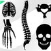 Human Spine Svg Hand Svg Backbone Svg Vertebra Bone Svg Skeleton Svg ...