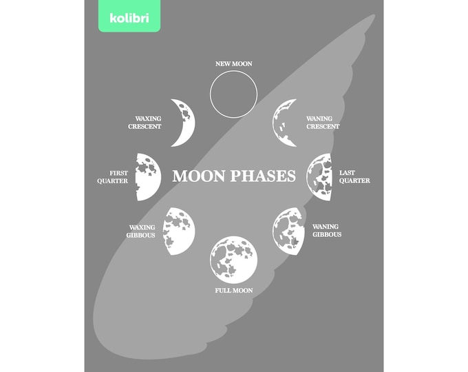 Moon Svg Bundle, Moon Phase SVG Png, Lunar Phases Svg, Moon Phase Clip ...