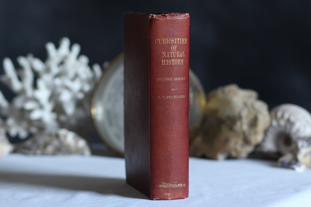Antique curiosities of Natural History by Francis T Buckland. 1903 ...