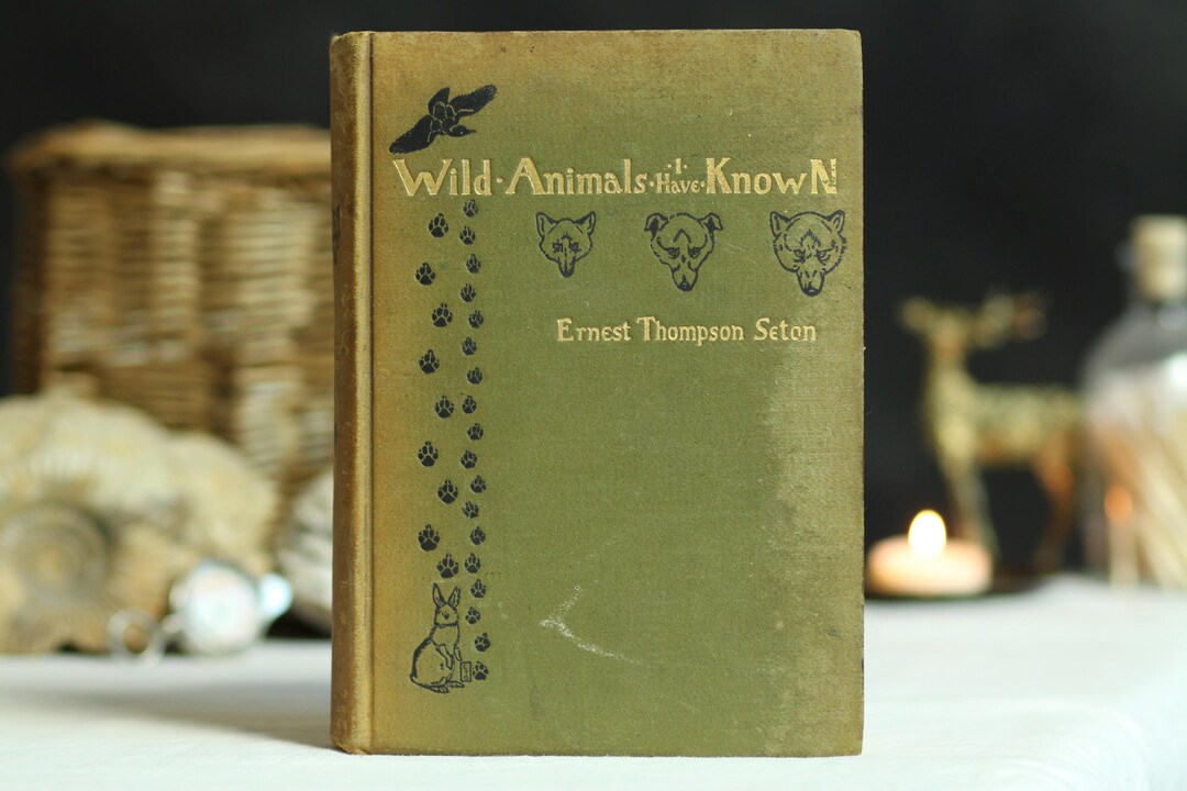 Antique wild Animals I Have Known by Ernest Seton. 1904. Hardback. Arts ...