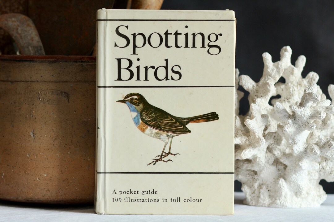 Midcentury ‘spotting Birds: A Pocket Guide to Bird Watching’ by Duriš ...