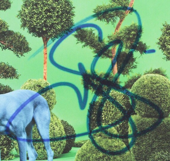 Bush Album Cover Snoop