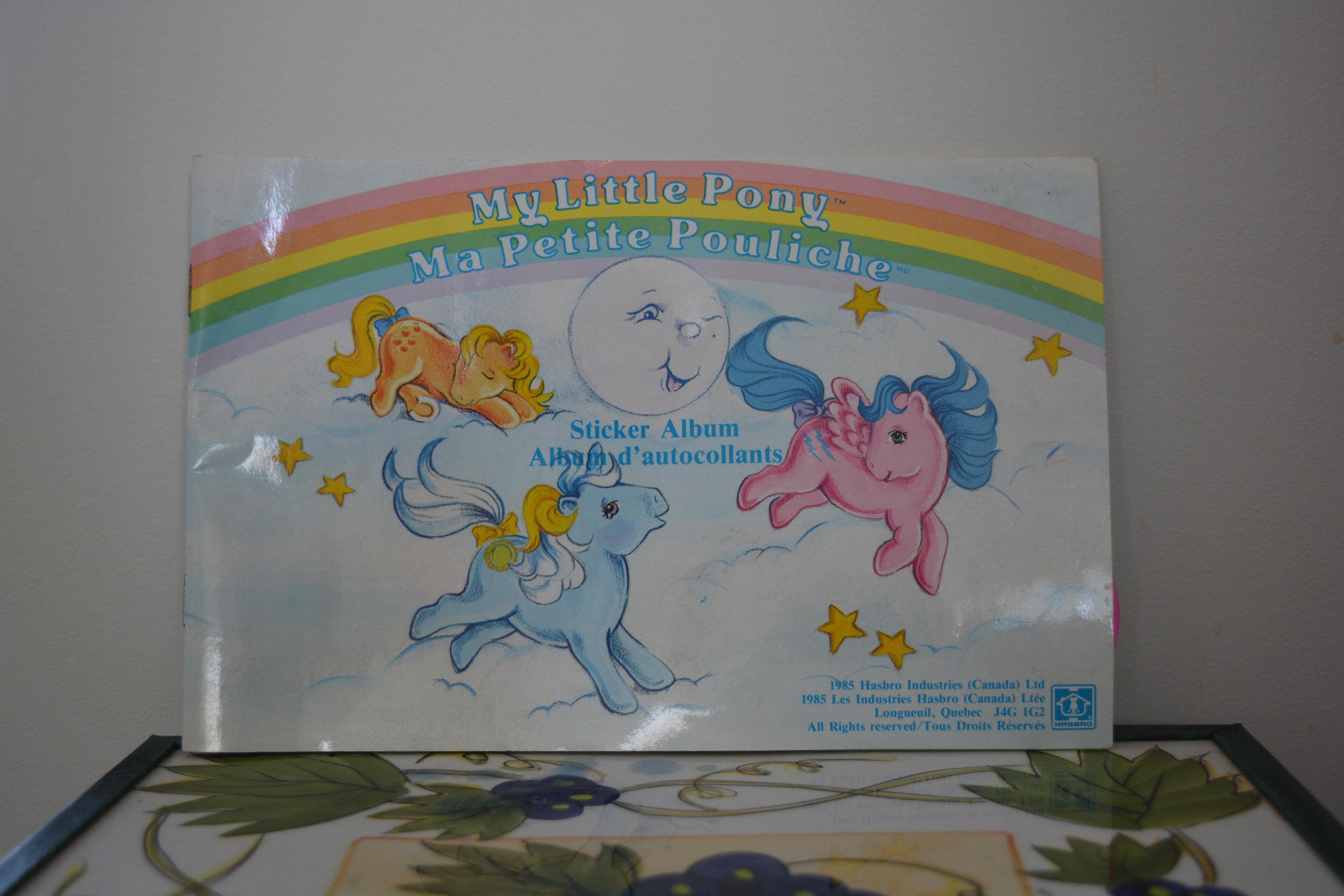 1980 My Little Pony STICKER ALBUM - Etsy