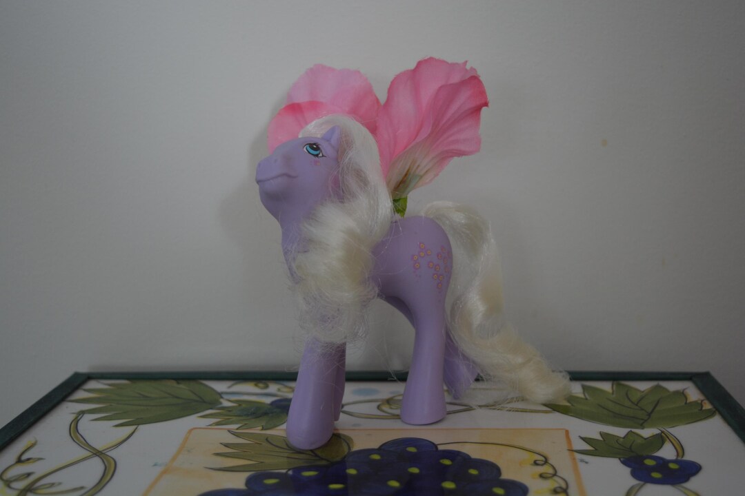 1980 My Little Pony FORGET-ME-NOT - Etsy