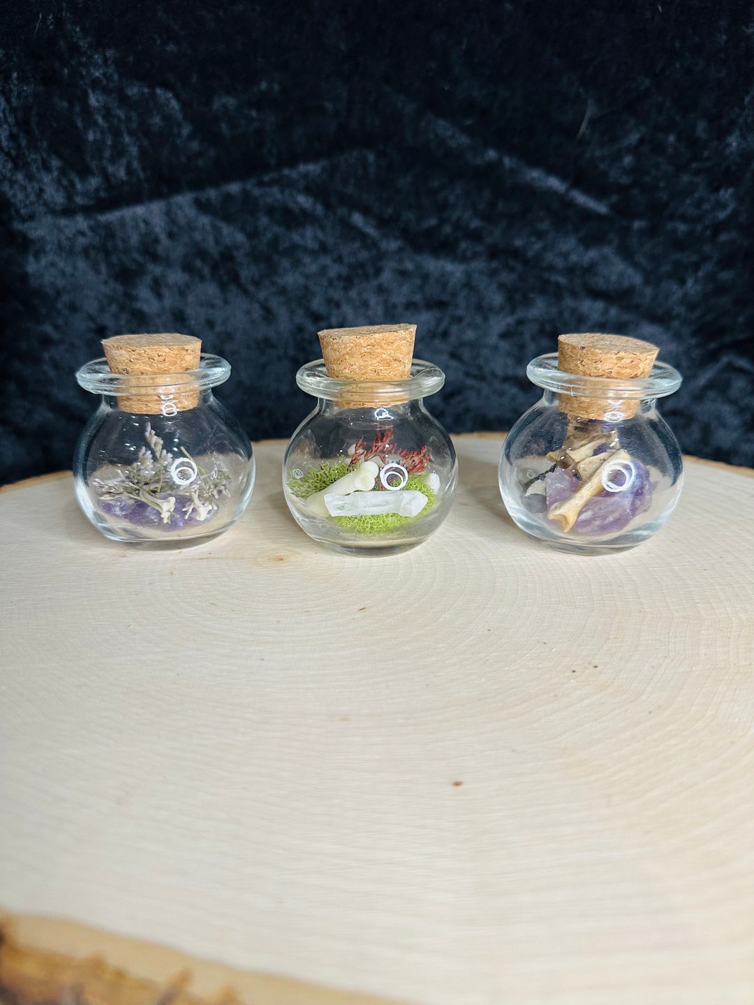 Oddity Glass Jars Bones, Crystals, Floral, Moss - Etsy