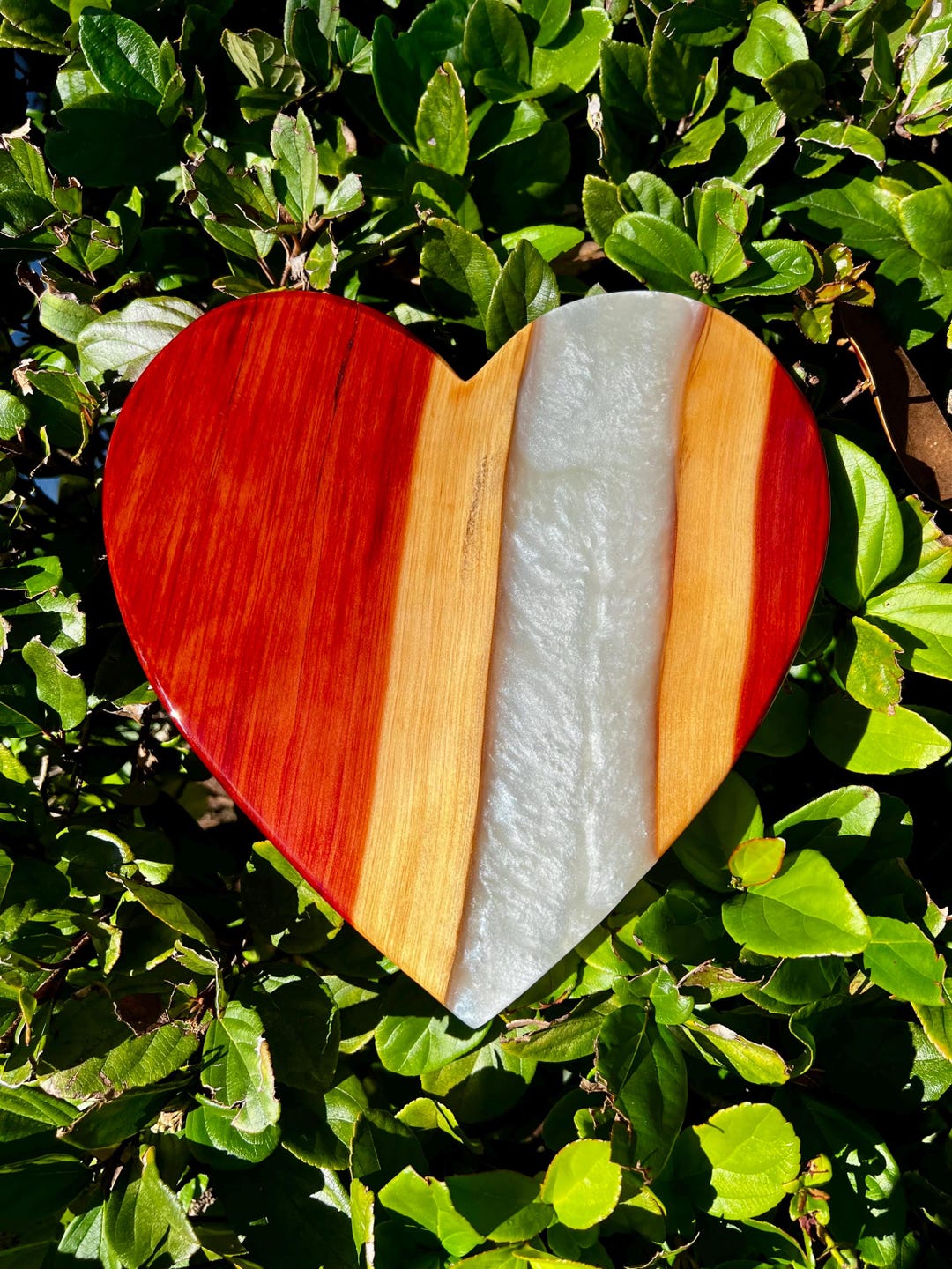 Live Edge Eastern Red Cedar Art, Resin Art, Wall Art, Custom Art, Home ...