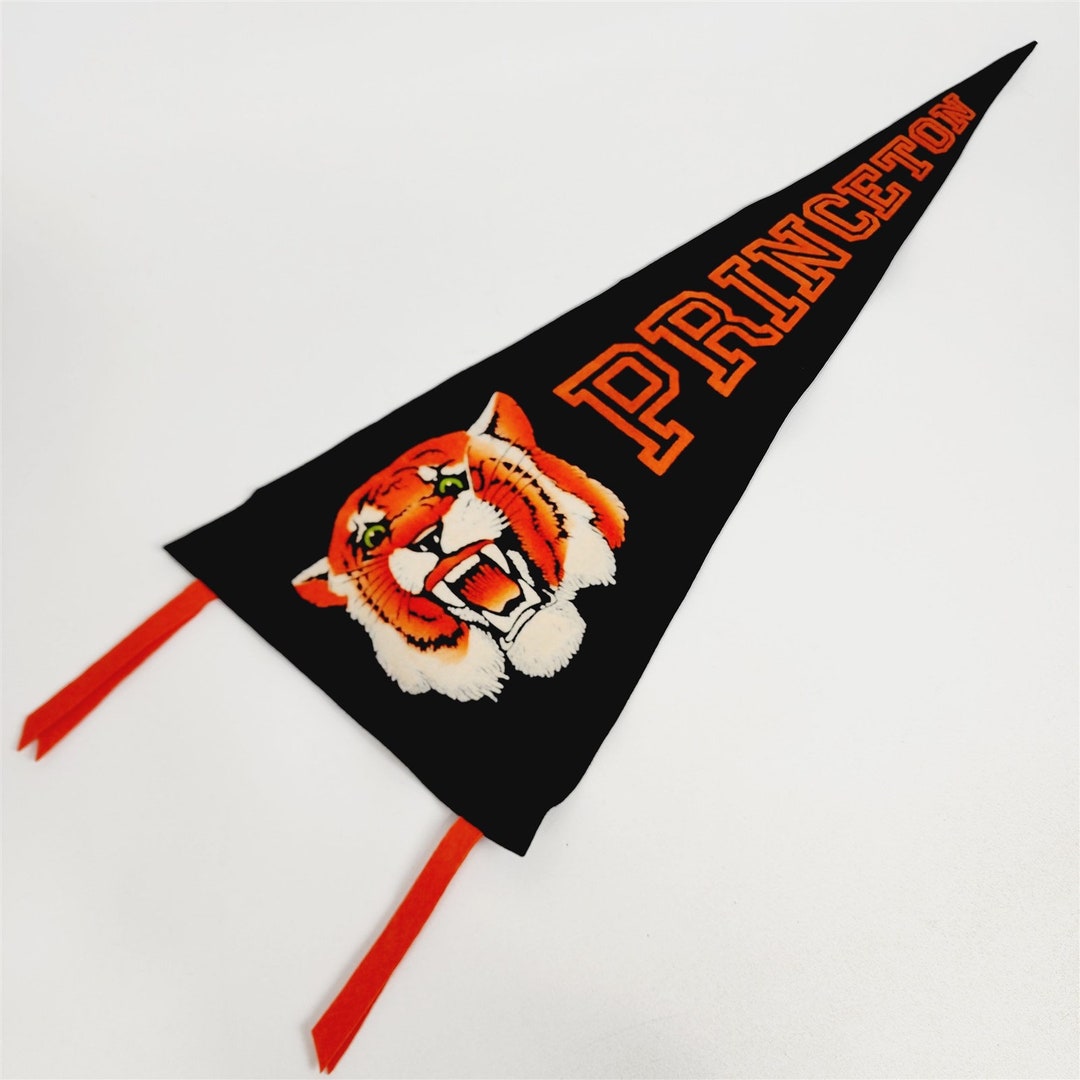 Vintage Felt College Pennant Princeton Collegiate Ames 28 1/2" - Etsy