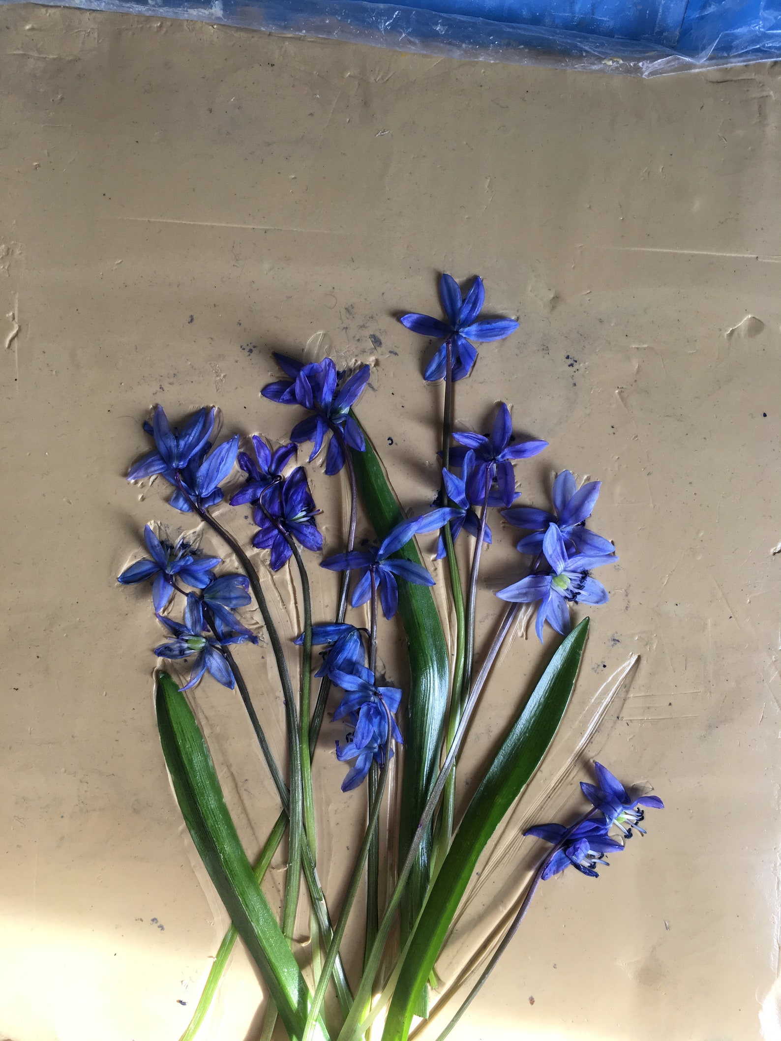 Tile Scilla Cast. Botanical Decorative Unique Plaster Wall Art Framу ...