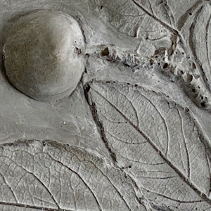 Tile Apple Tree Cast Concrete. Botanical Decorative Unique Plaster Wall ...