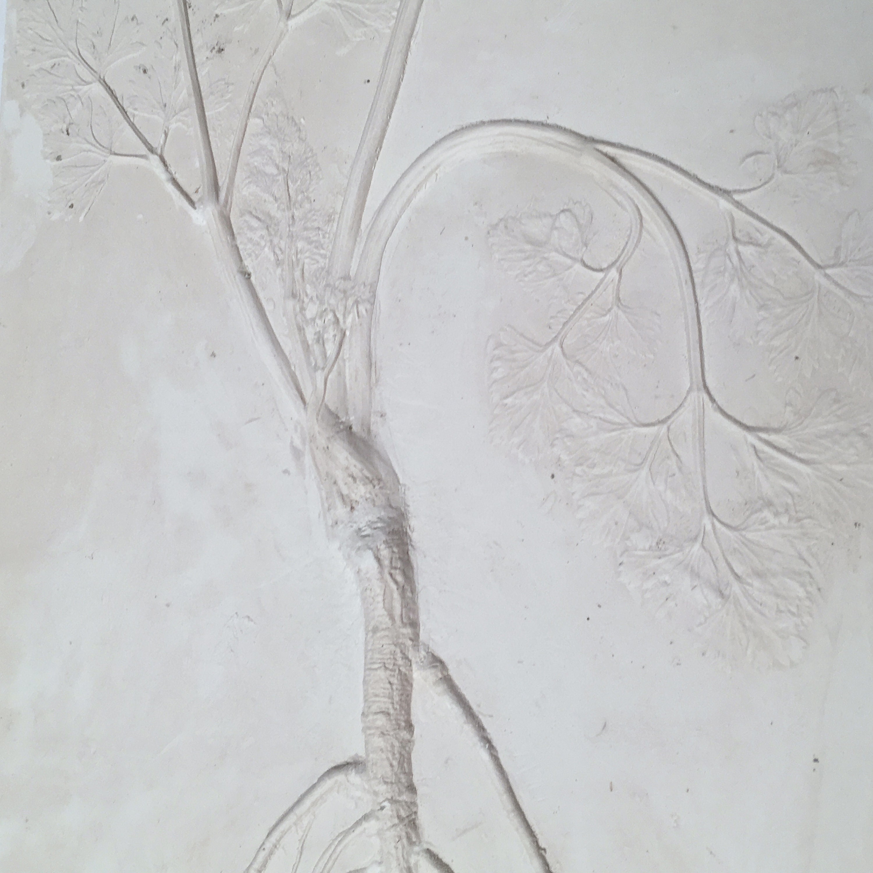 Tile Parsley root cast. Botanical Decorative unique plaster | Etsy