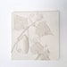 Tile Cucumber Cast. Botanical Decorative Unique Plaster Wall Art Framу ...