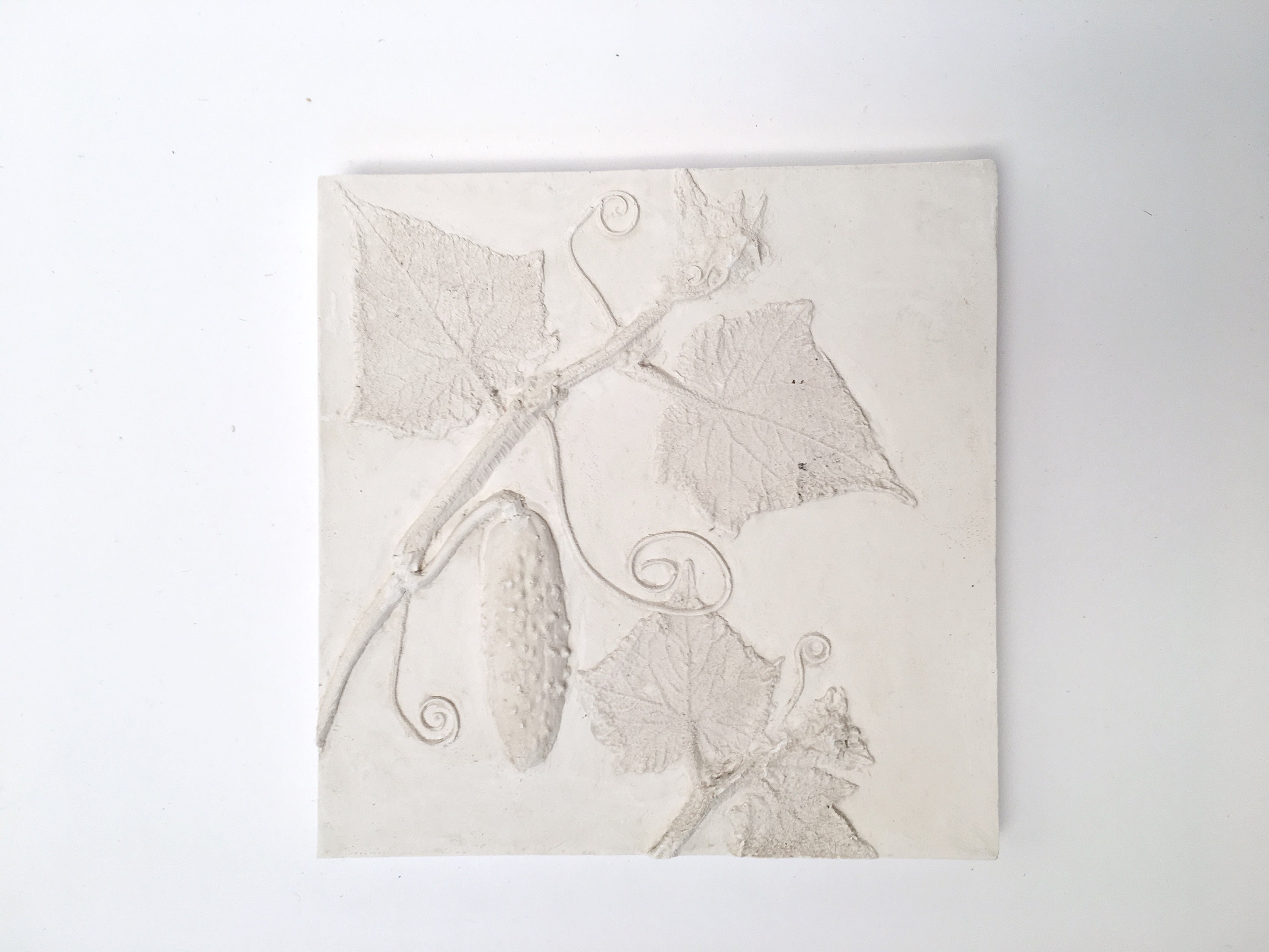 Tile Cucumber Cast. Botanical Decorative Unique Plaster Wall Art Framу ...