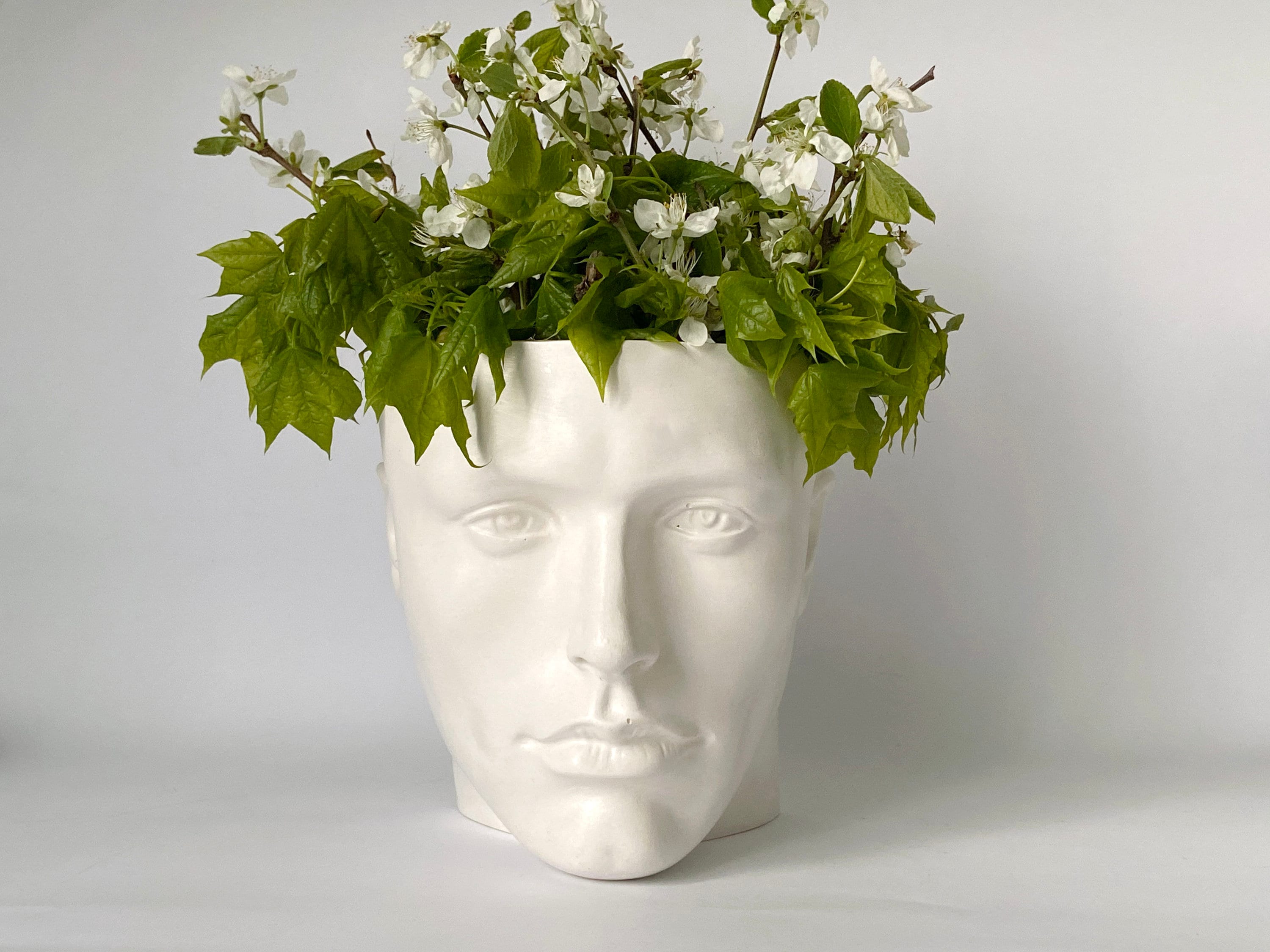 Head Planter Male Pot Face Wall Hang Table Vase Decorative | Etsy