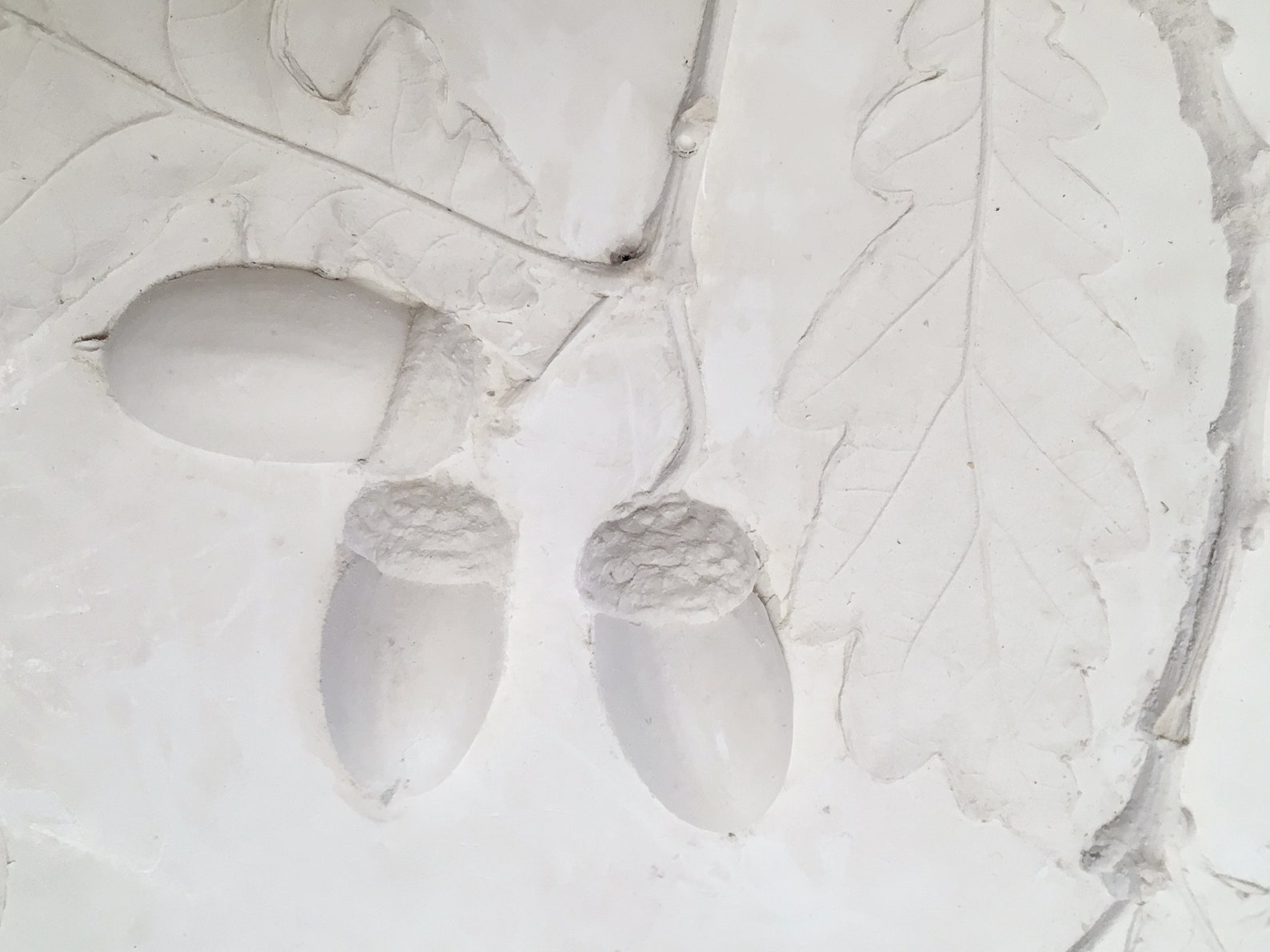 Tile Oak Acorns Cast. Botanical Decorative Unique Plaster Wall Art ...