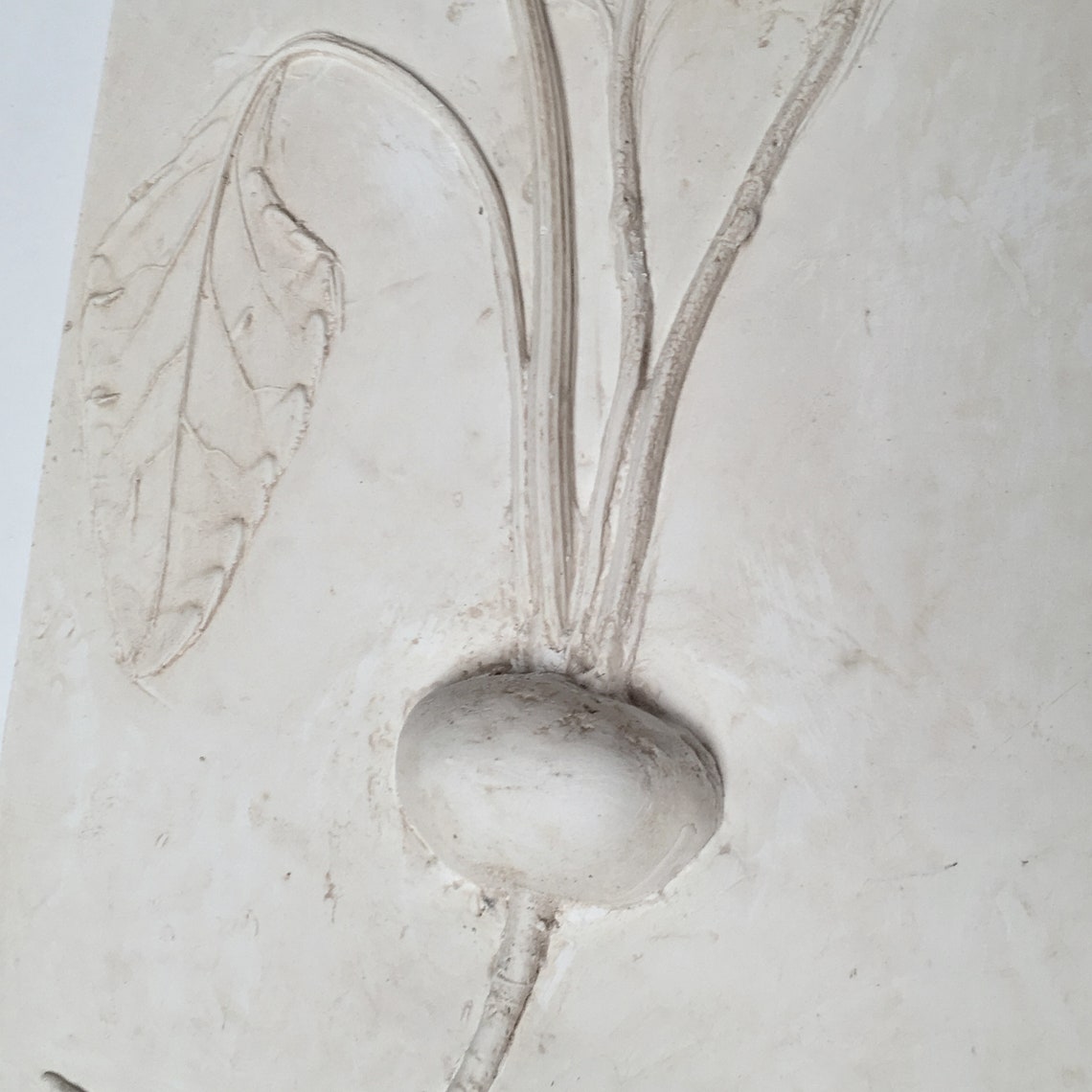 Tile Beet Cast. Botanical Decorative Unique Plaster Wall Art Frame Wood ...