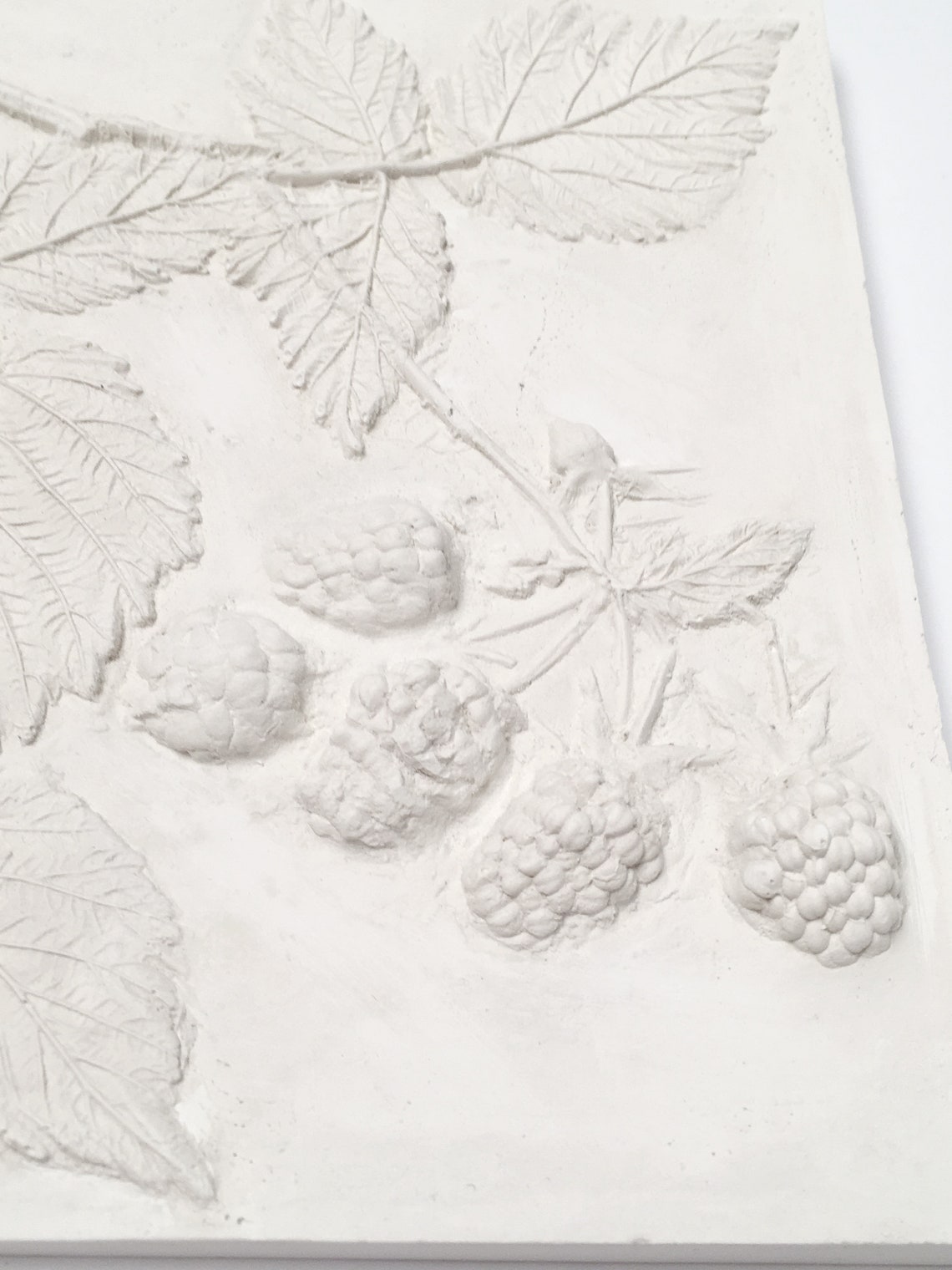 Tile Raspberries Cast. Botanical Decorative Unique Plaster | Etsy