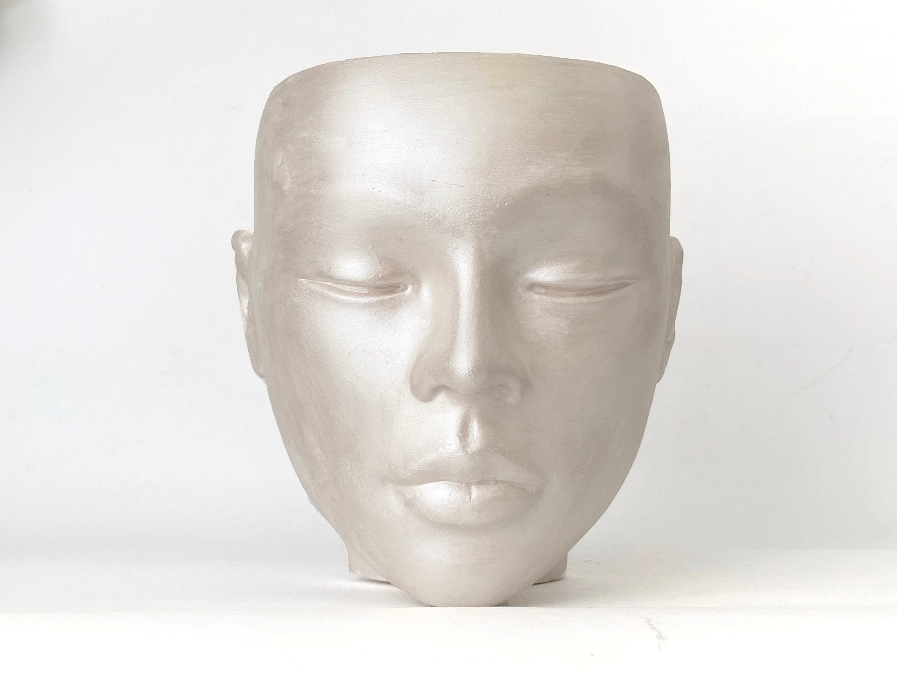Head Planter silver Metallic Female Pot Face Vase - Etsy