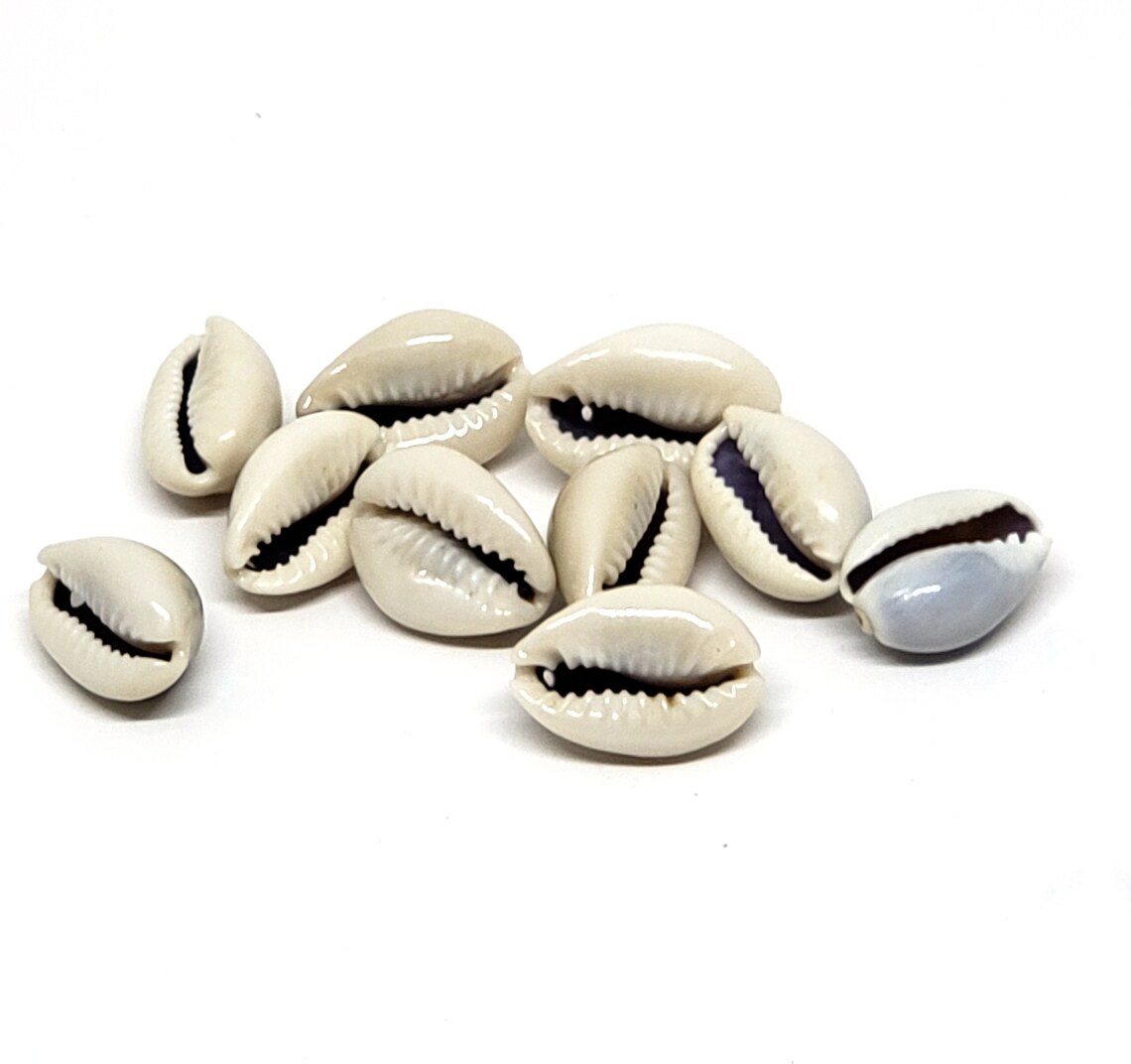 Hole Natural Sea Shell Cowrie Shell Shell Bead Seashell - Etsy