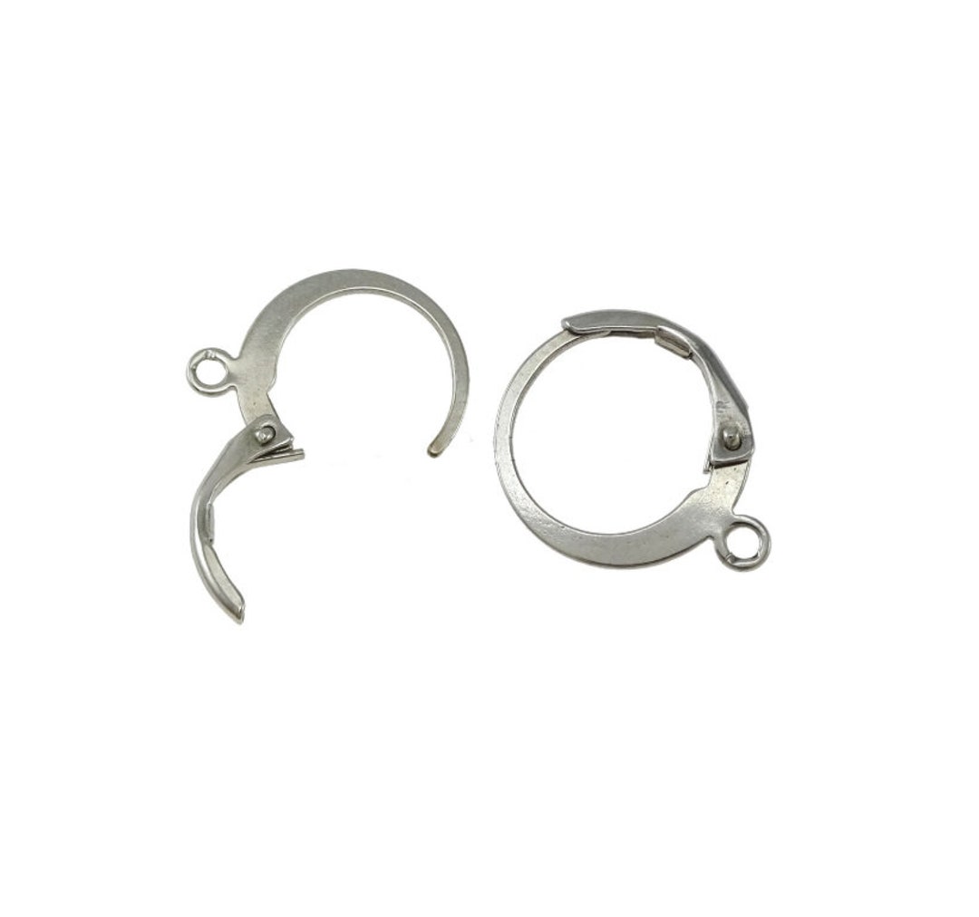 10 Pairs Stainless Steel Lever Back Earring With Loop Component, Silver ...