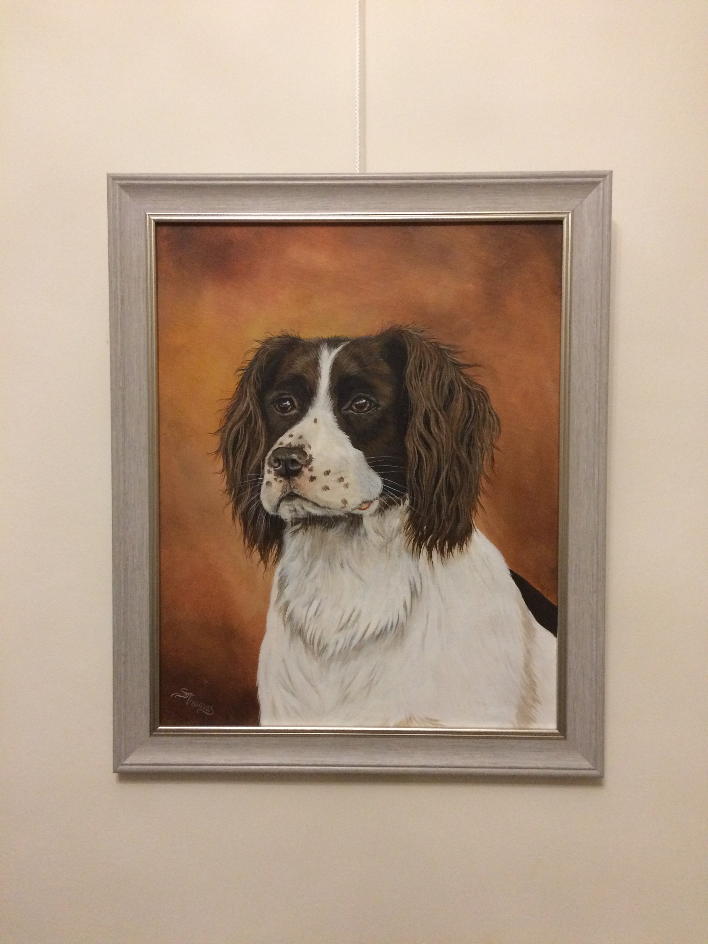 Framed Dog Portrait/springer Spaniel Dog Acrylic Painting/ Pet - Etsy
