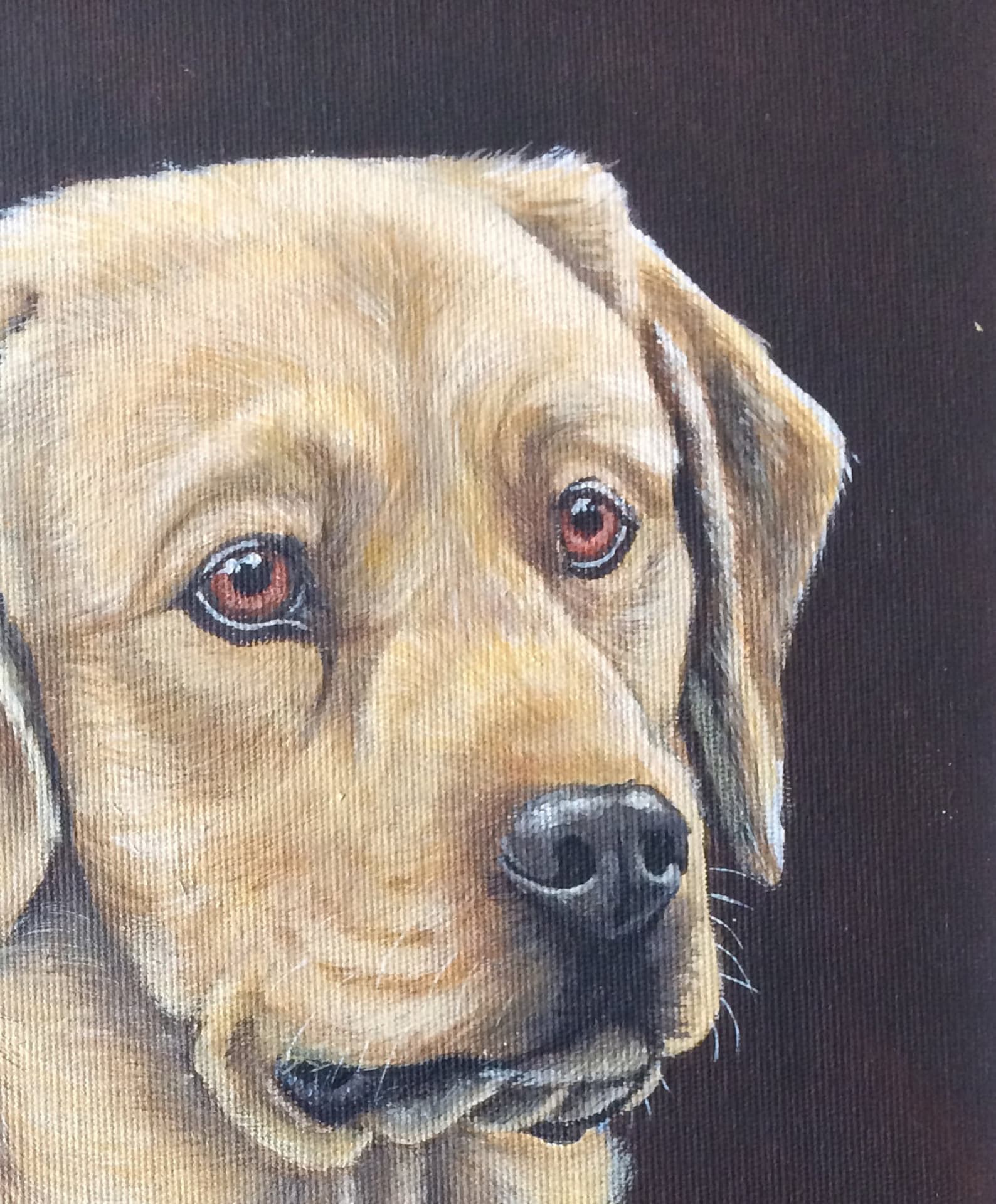 Labrador Dog/ Acrylic Painting on Canvas Board/ Cream - Etsy