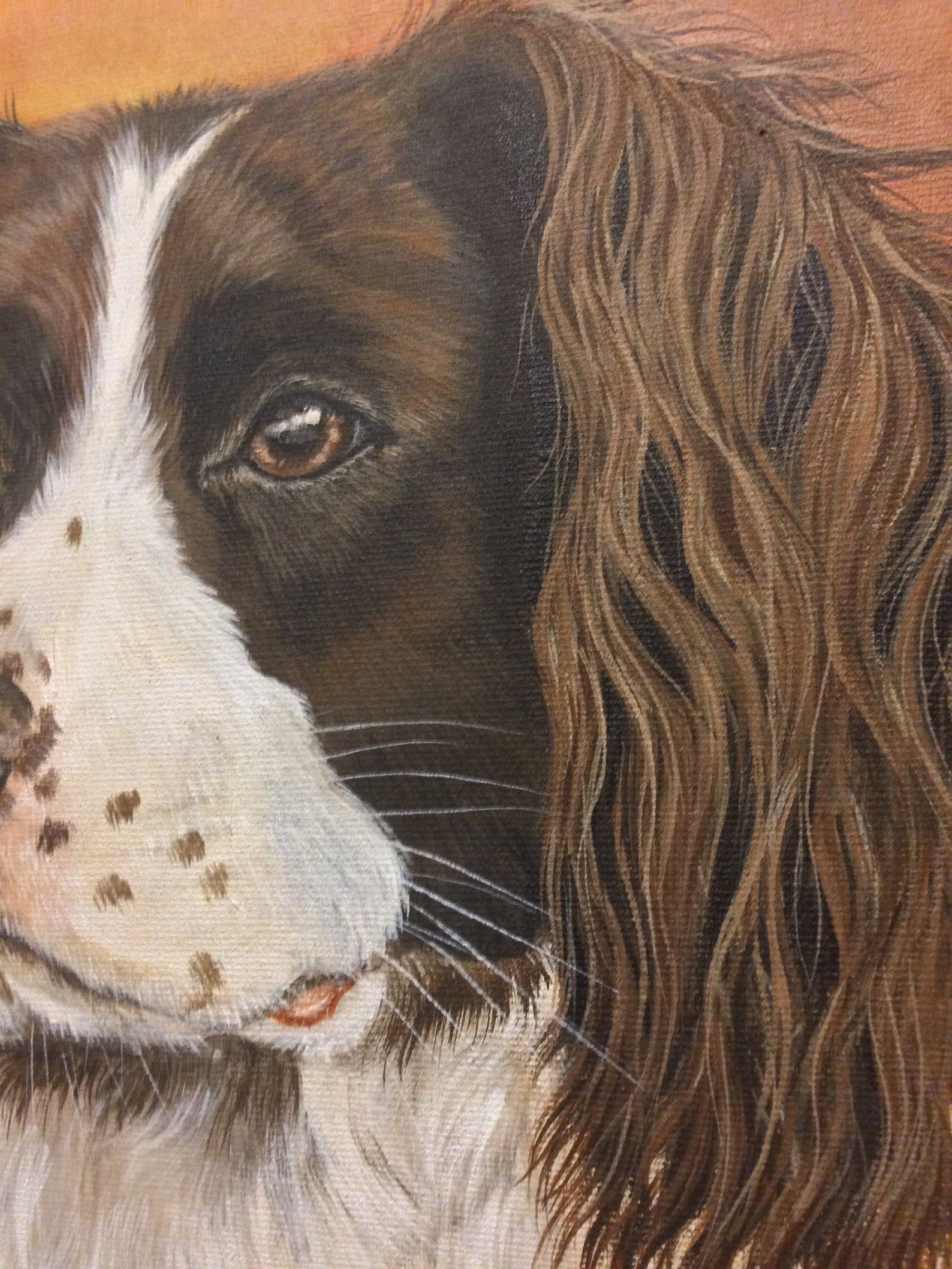 Framed Dog Portrait/springer Spaniel Dog Acrylic Painting/ Pet - Etsy