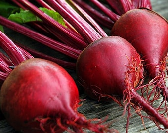 Cylindra Long Red Beet Seeds Non-gmo, Open Pollinated, Heirloom for ...