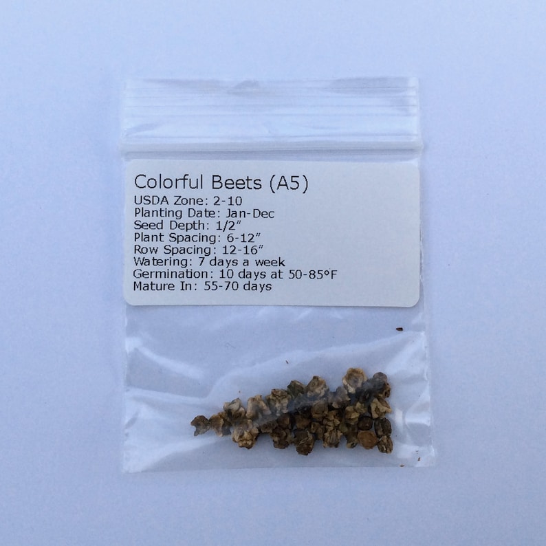 Colorful Beet Seeds - Organic, Heirloom, Open Pollinated, Non GMO ...